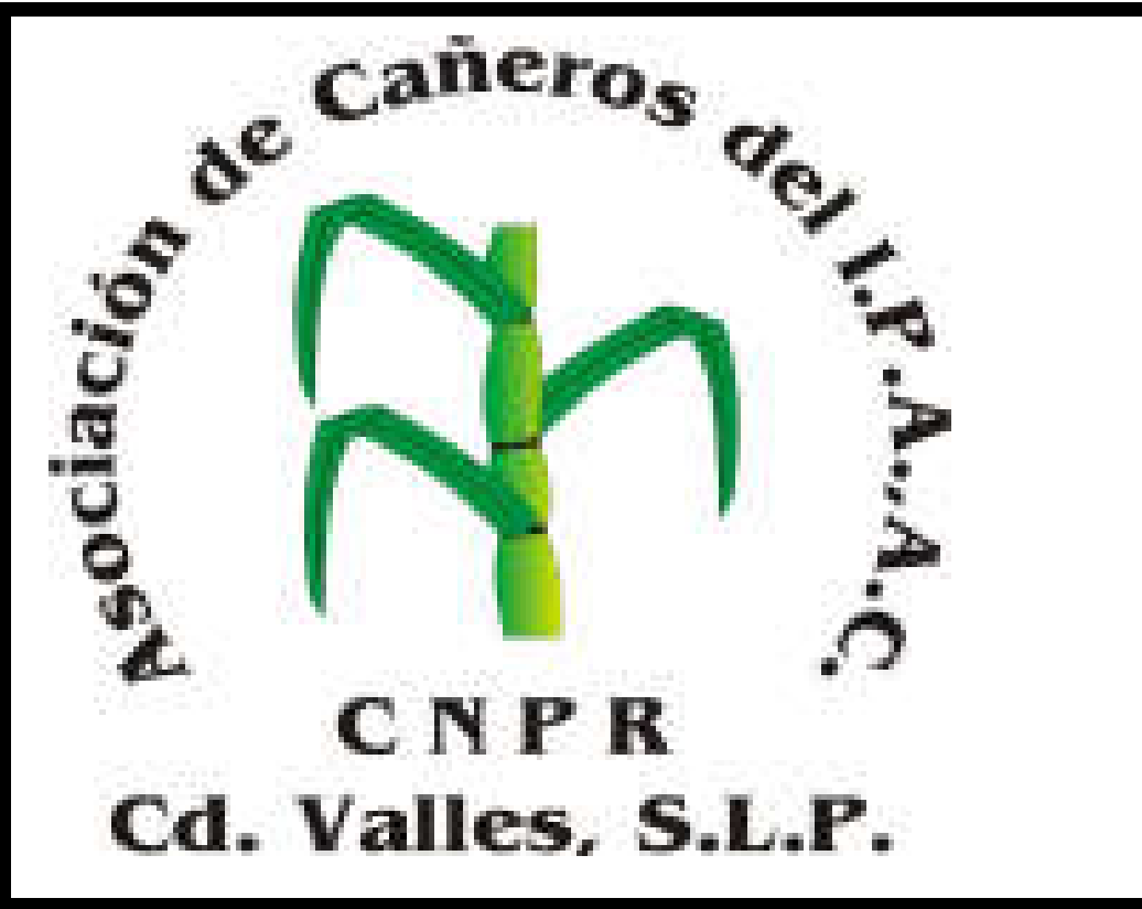 Excelentes resultados de la zafra 2018-2019 en Plan de Ayala — Amanecer ...